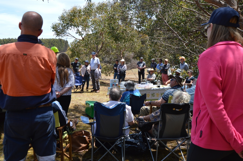 Forestry Field Day and Parndana Show in big weekend of events ...